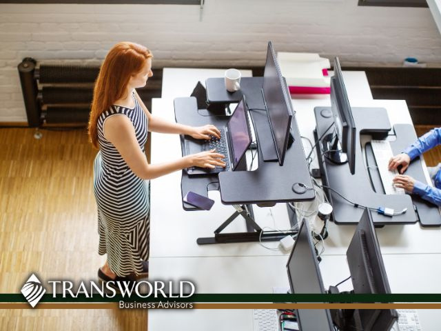 Web based Distributor - Computer desk - Warehouse condo incl